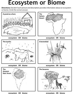 Homeschool Curriculum Purchase Biomes - Student Activity Pages /Online