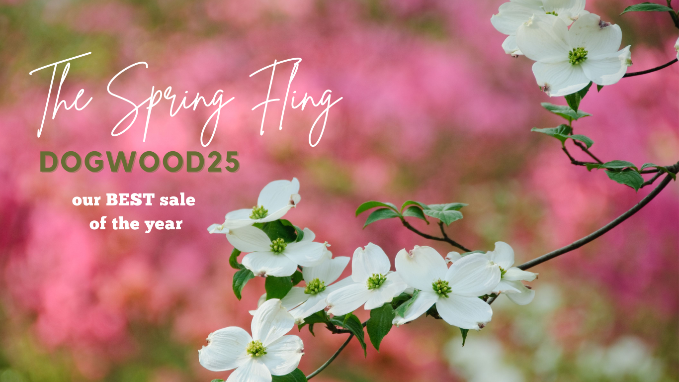 Beyond the Page Spring Fling - Our Best Deal of the Year
